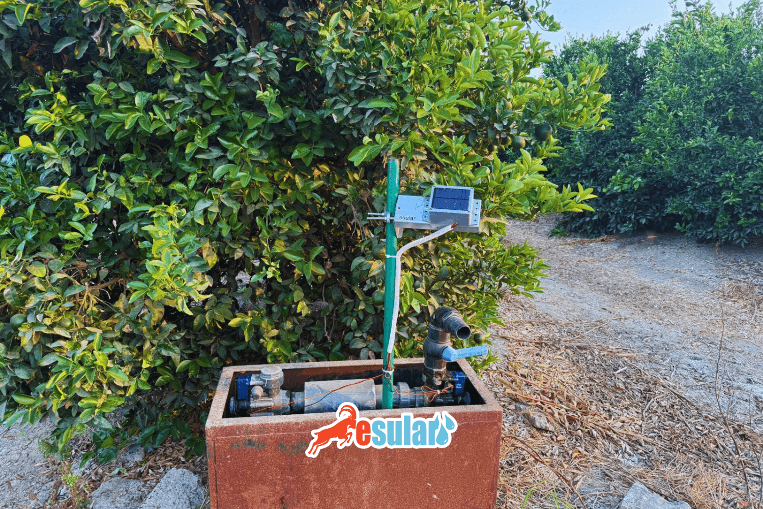 Water Management in Modern Agriculture: Prepaid Meters and Smart ...