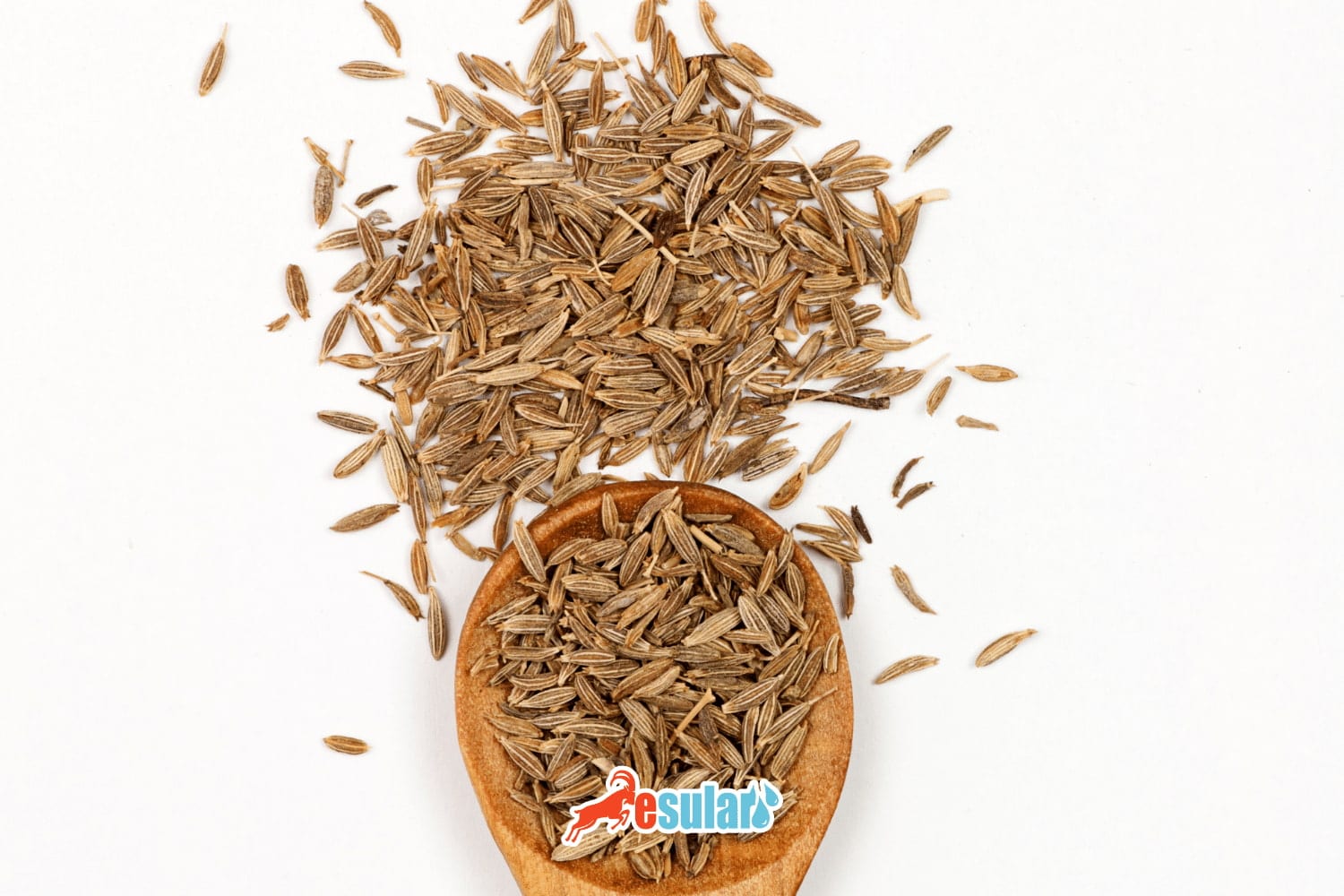 Kimyon Yetiştiriciliği Nasıl Yapılır? - esular | Kablosuz Akıllı Otomatik Sulama Sistemi